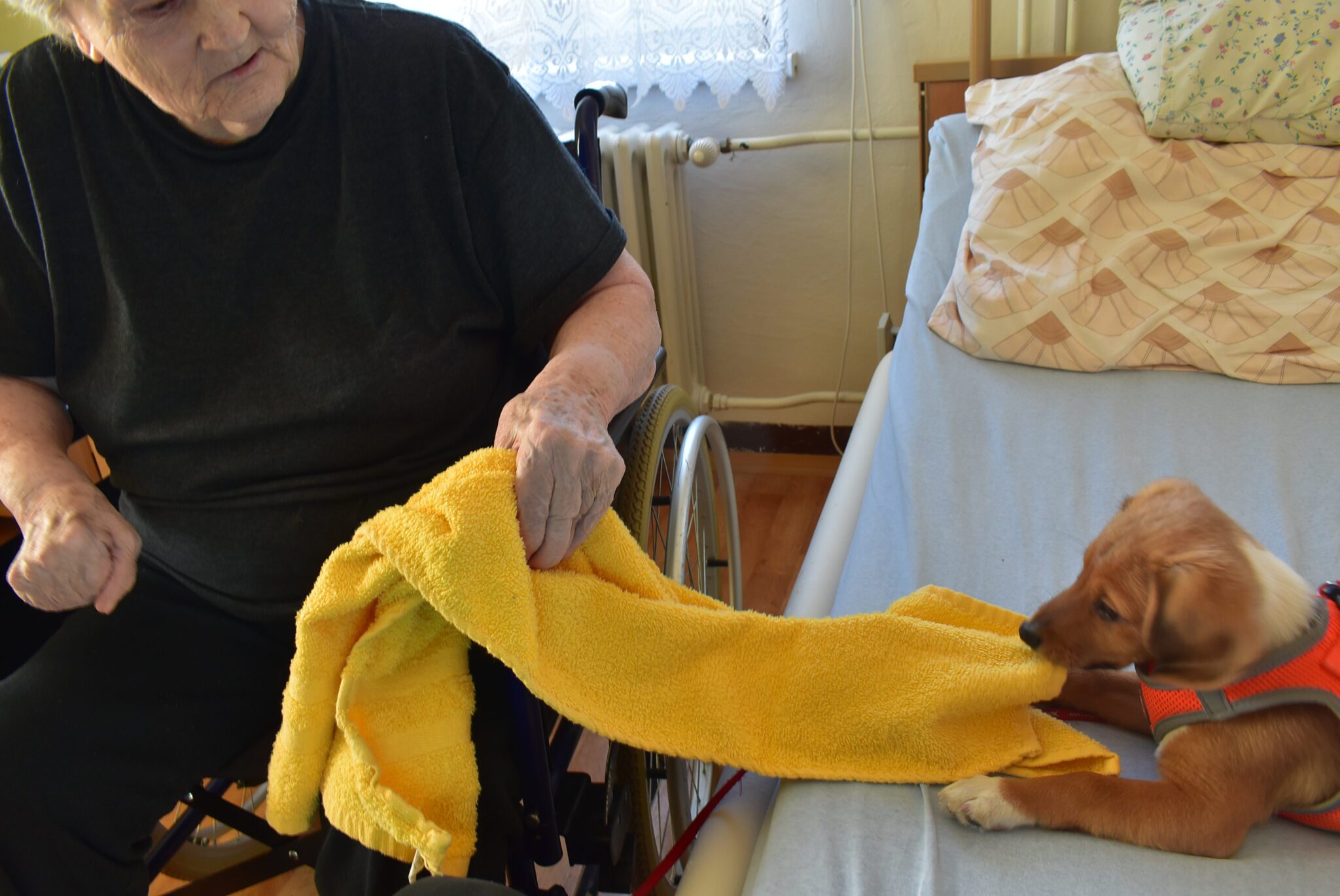 Aktivity v domově - DpS Osoblaha, p.o.